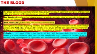 circulatory system: human anatomy biology | PPTX