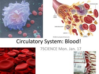 Circulatory System: Functions of Blood | PPT
