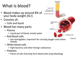 Circulatory system blood | PPT