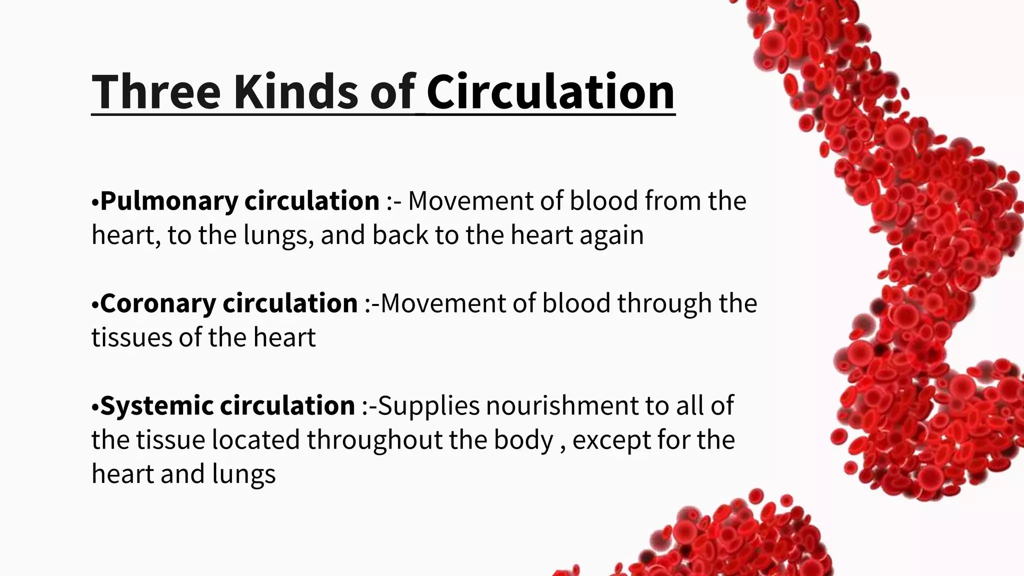CIRCULATORY SYSTEM_CLASS 10th.pptx