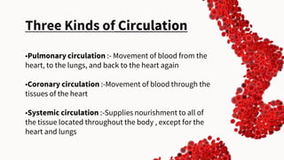 CIRCULATORY SYSTEM_CLASS 10th.pptx