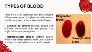 CIRCULATORY SYSTEM_CLASS 10th.pptx