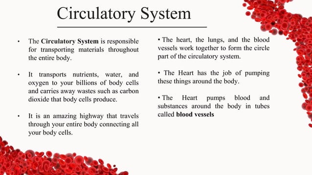CIRCULATORY SYSTEM_CLASS 10th.pptx