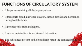 CIRCULATORY SYSTEM_CLASS 10th.pptx