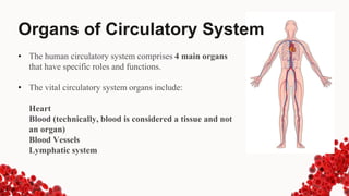 CIRCULATORY SYSTEM_CLASS 10th.pptx