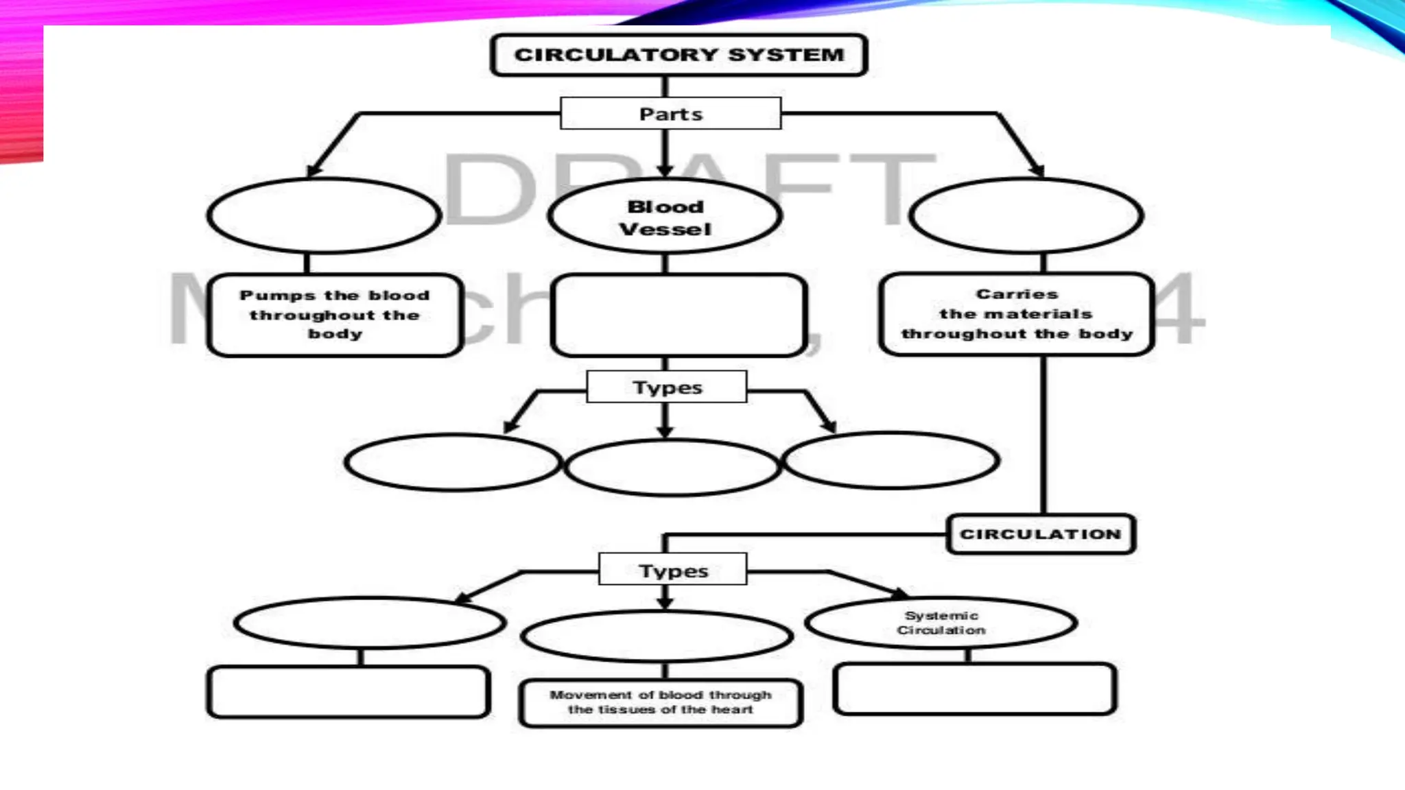 CIRCULATORY SYSTEM POWERPOINT PRESENTATION FOR GRADE 9 | PPTX