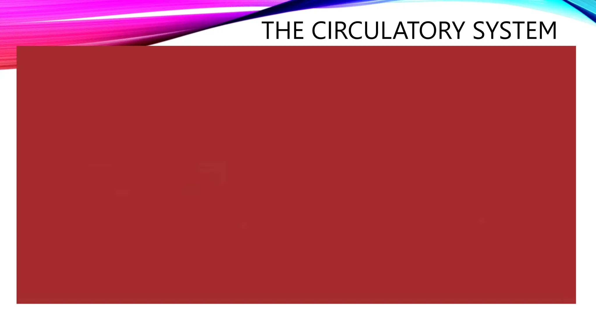 CIRCULATORY SYSTEM POWERPOINT PRESENTATION FOR GRADE 9 | PPTX