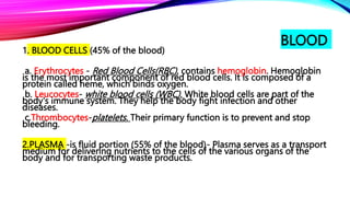 CIRCULATORY SYSTEM POWERPOINT PRESENTATION FOR GRADE 9 | PPTX