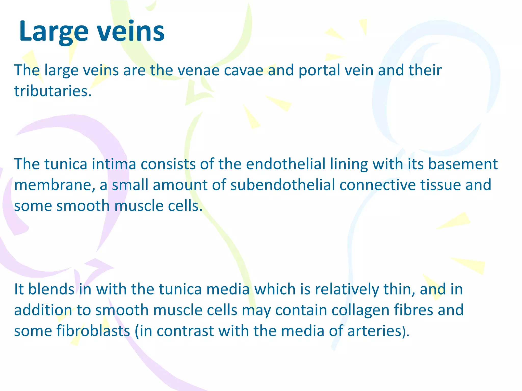 Circulatory system histology | PPTX