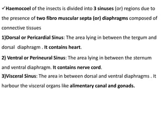 circulatorysystemininsects- PPT.pptx entomology | PPTX