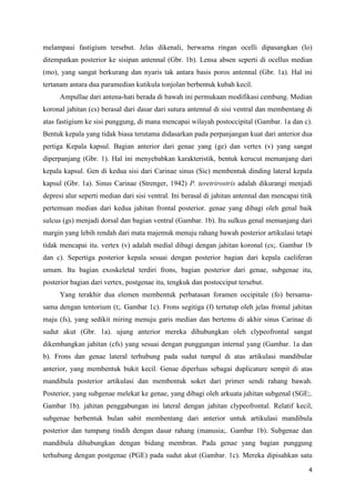 Sistem Sirkulasi Serangga | PDF