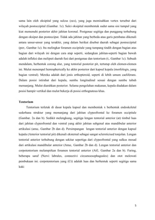 Sistem Sirkulasi Serangga | PDF