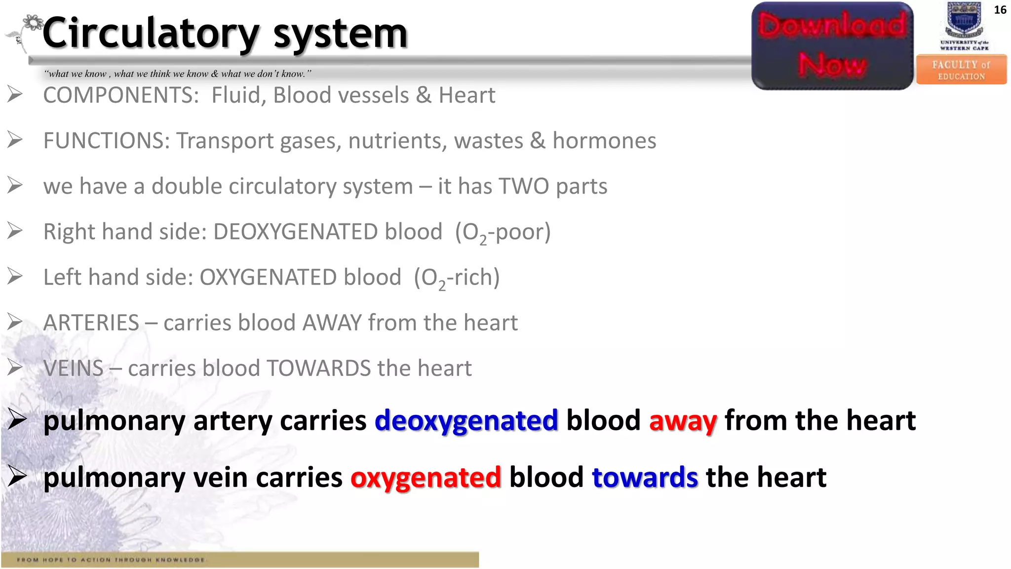 Circulatory system intro | PPTX