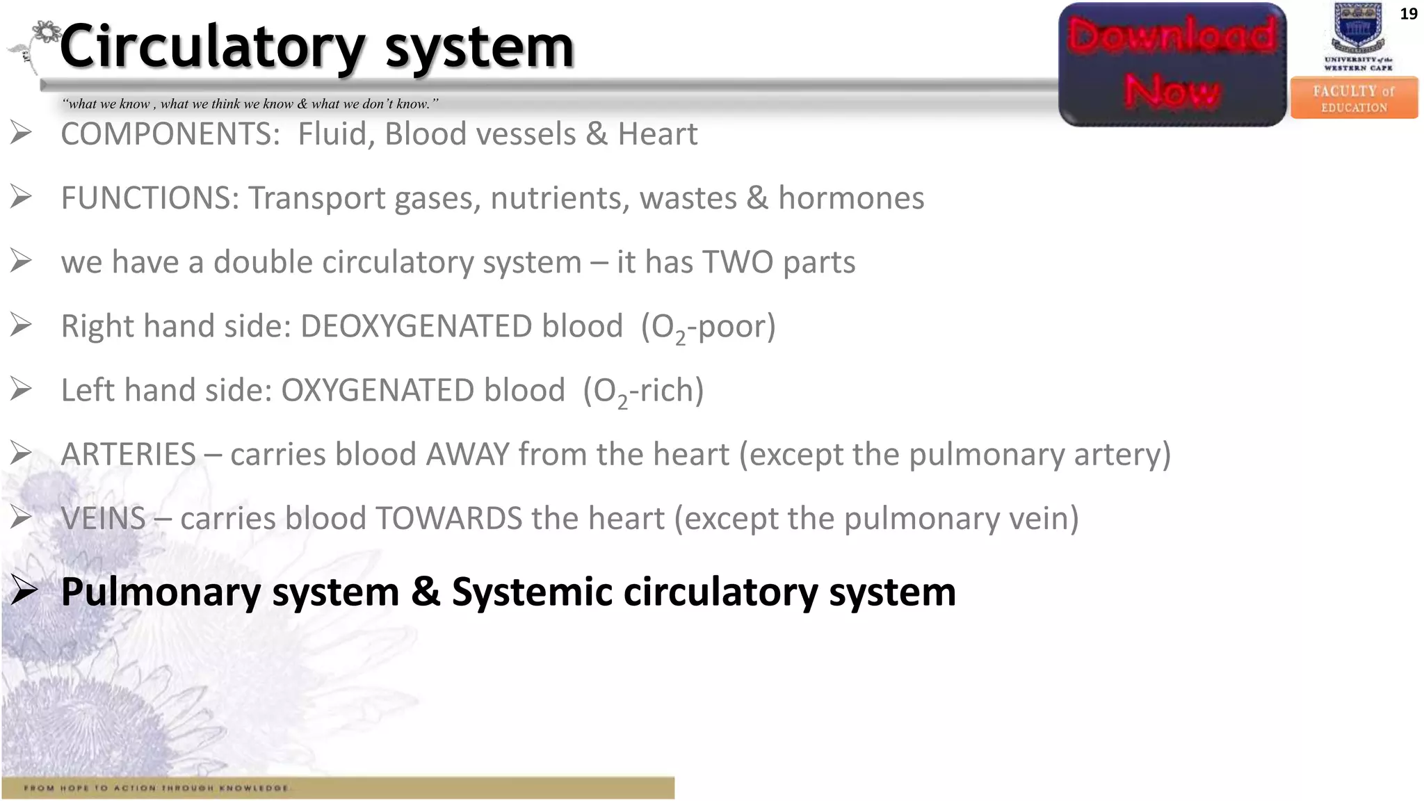 Circulatory system intro | PPTX