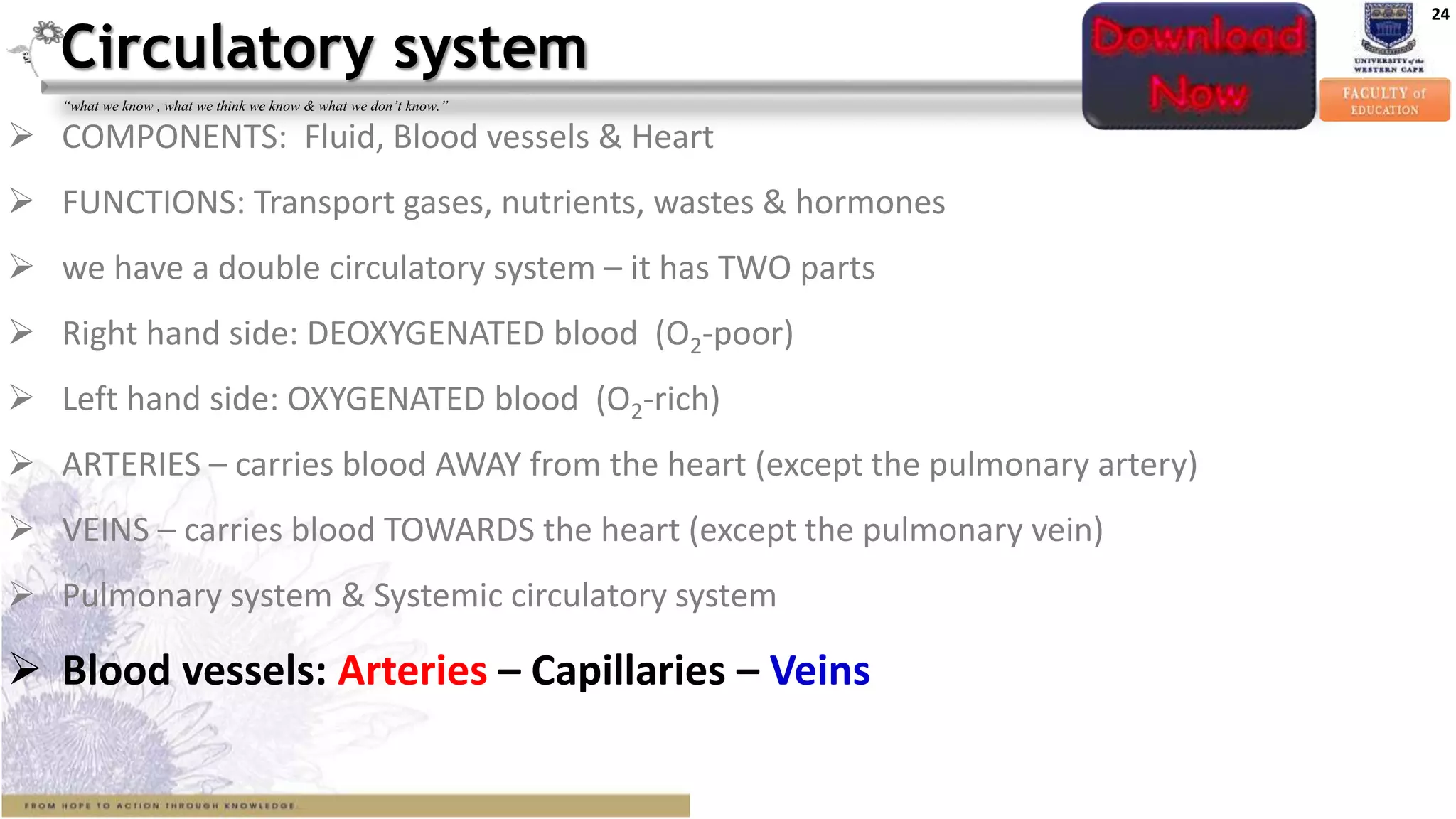 Circulatory system intro | PPTX