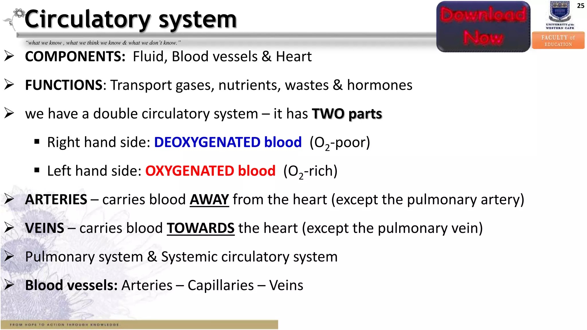 Circulatory system intro | PPTX