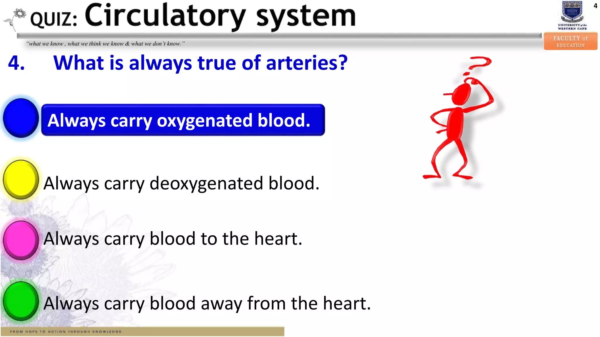 Circulatory system intro | PPTX