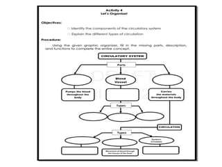 Circulatory system lesson.ppt parts and functions | PPT