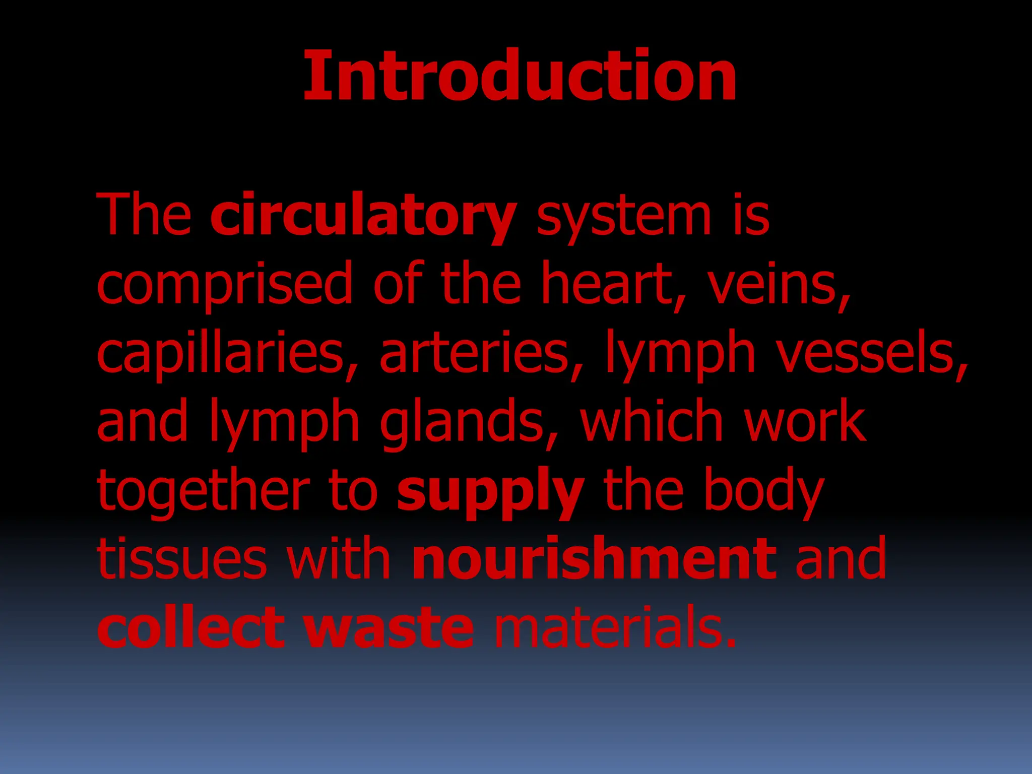 circulatory system mammals.ppt
