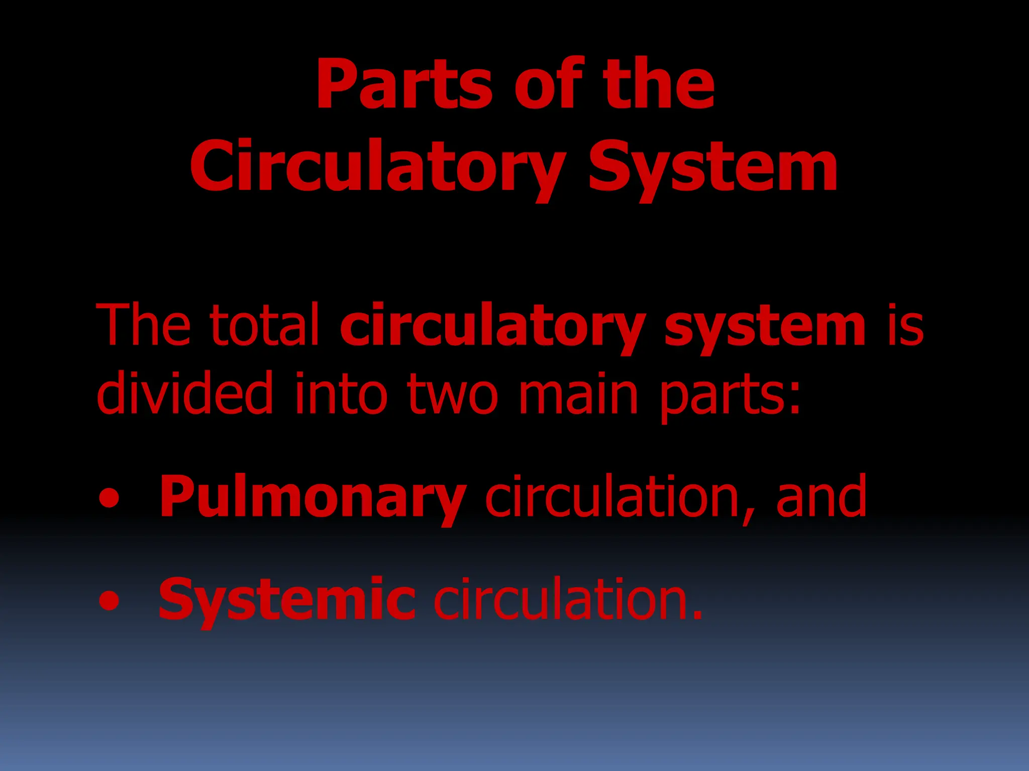 circulatory system mammals.ppt