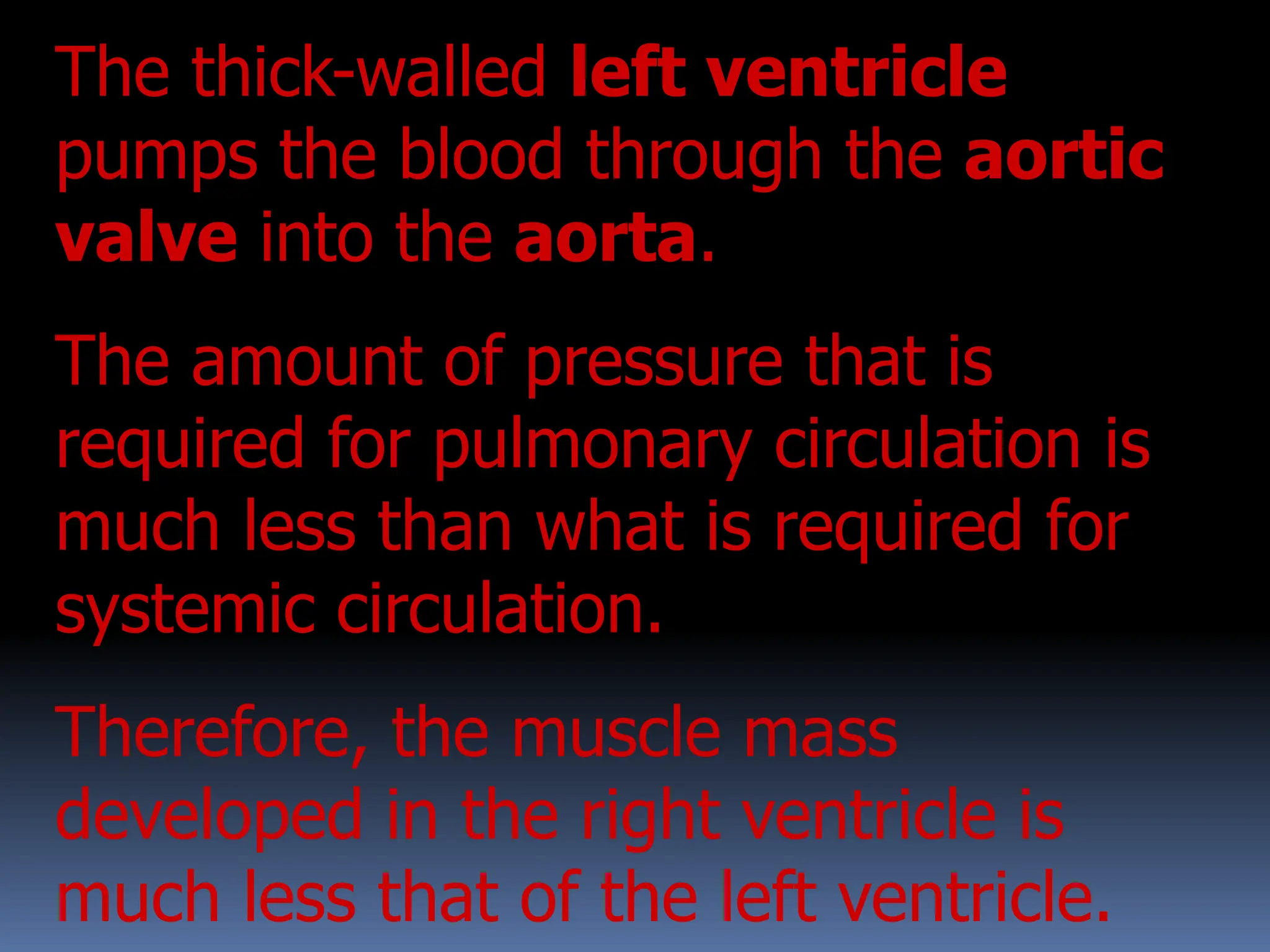 circulatory system mammals.ppt