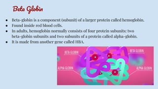 Circulatory system | PDF | Blood Disorders | Diseases and Conditions