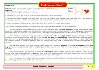 Circulatory system module | PDF