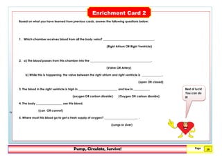 Circulatory system module | PDF