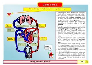 Circulatory system module | PDF