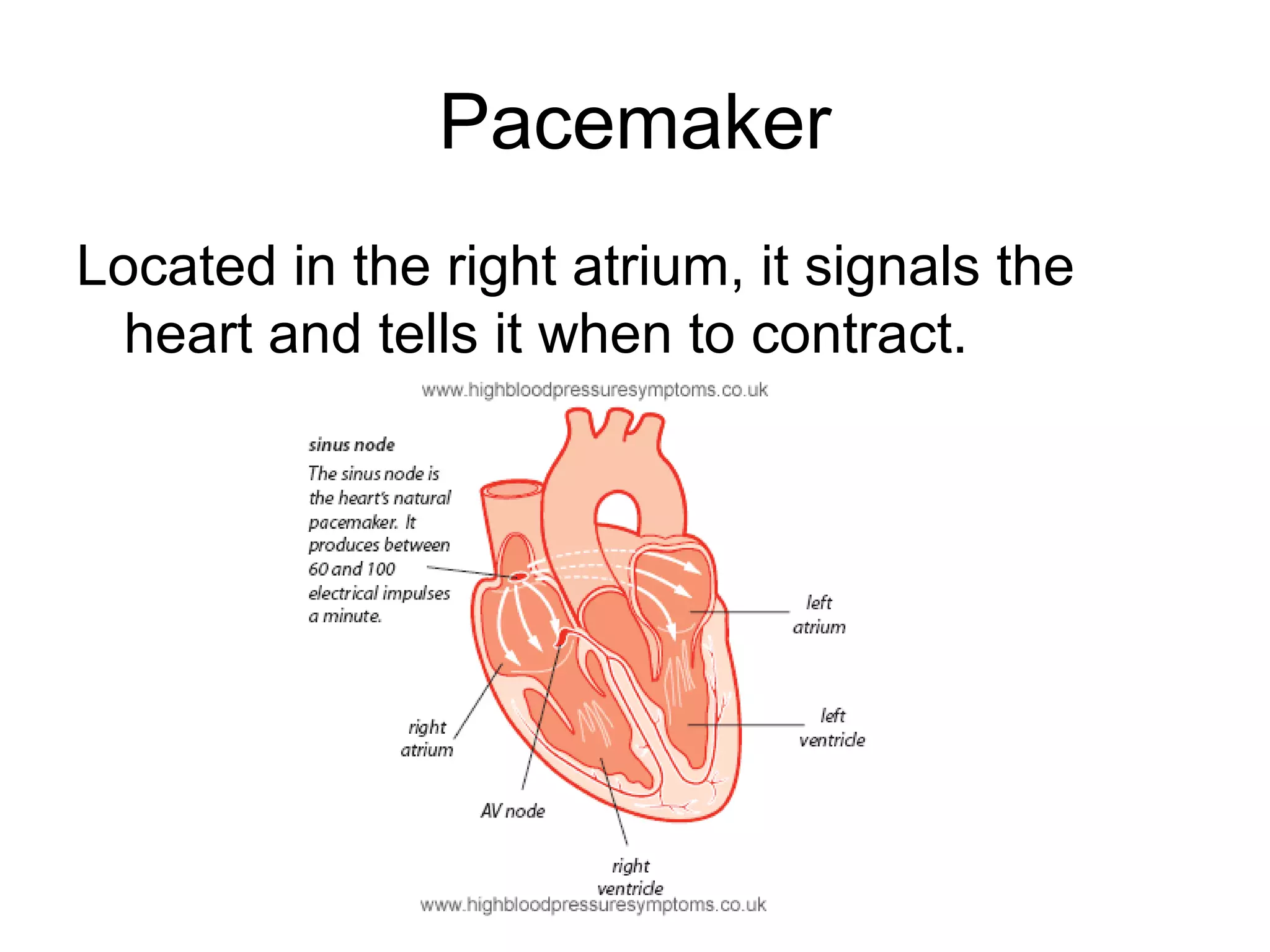 Circulatory system notes | PPT | Heart and Cardiovascular Diseases ...