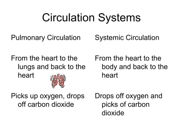 Circulatory system notes | PPT