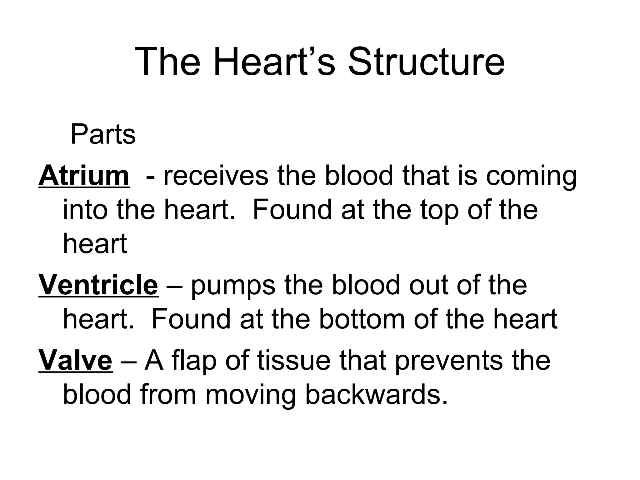 Circulatory System Notes | PPT