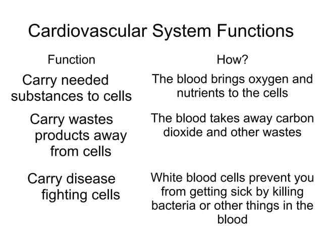 Circulatory System Notes | PPT