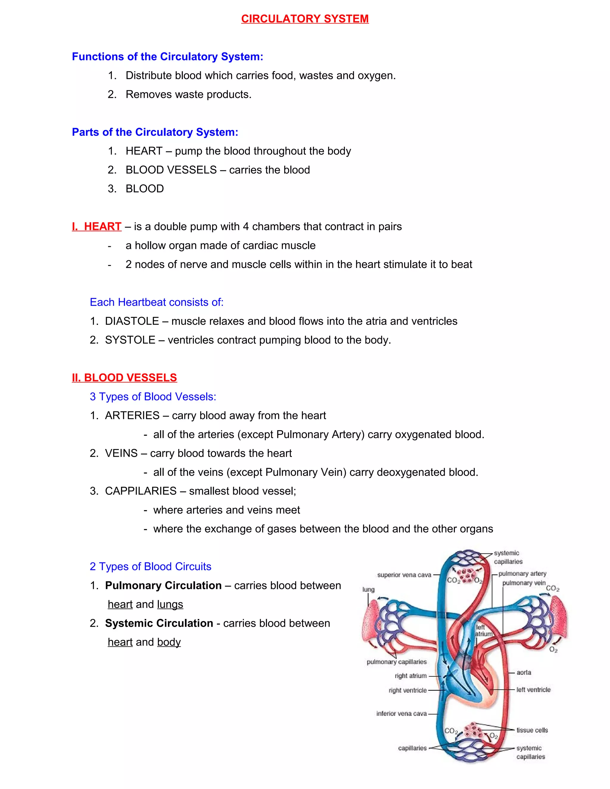 Circulatory System Notes | DOC
