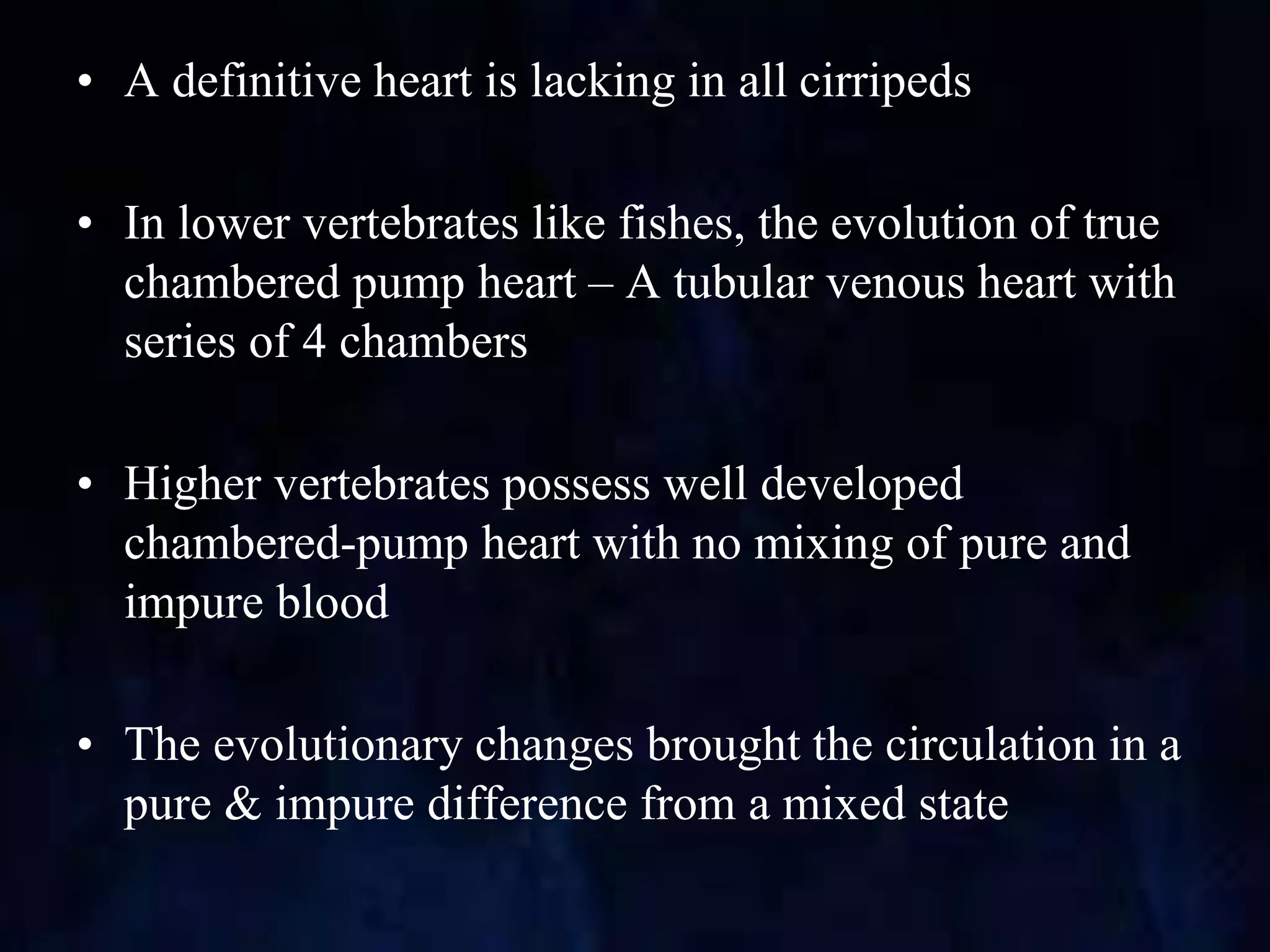 Circulatory system of Penaeid shrimp | PPTX