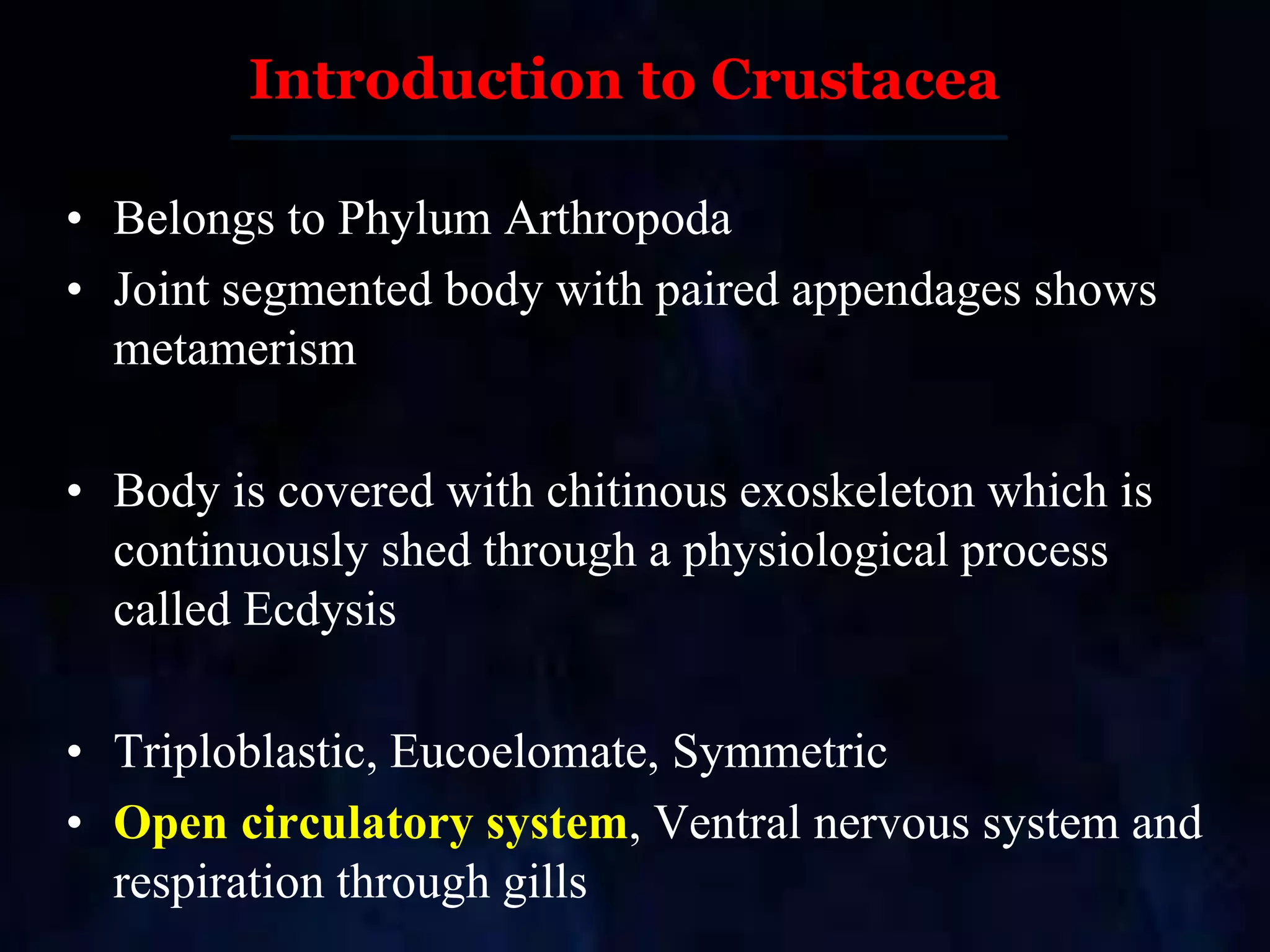 Circulatory system of Penaeid shrimp | PPTX