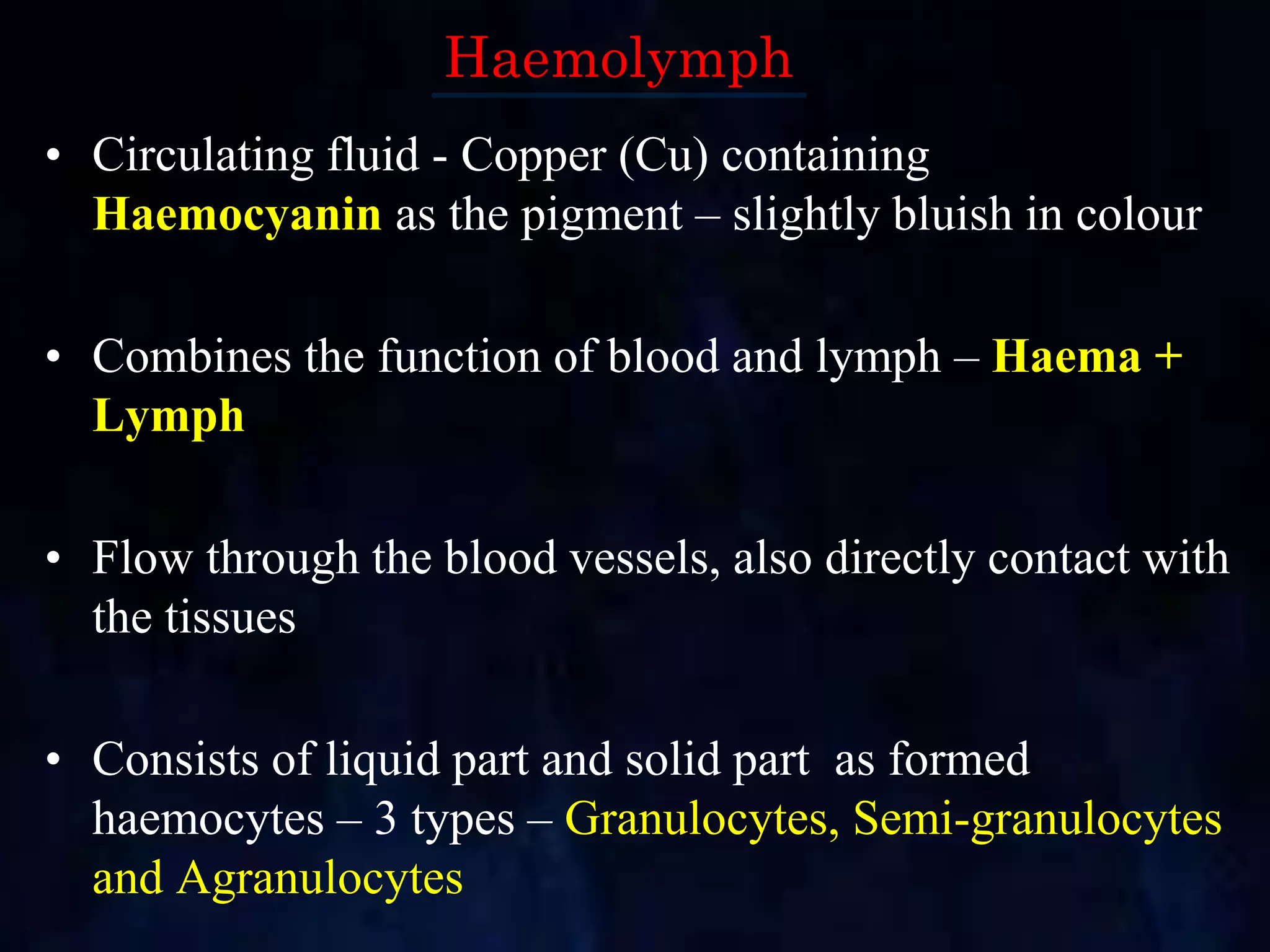 Circulatory system of Penaeid shrimp | PPTX