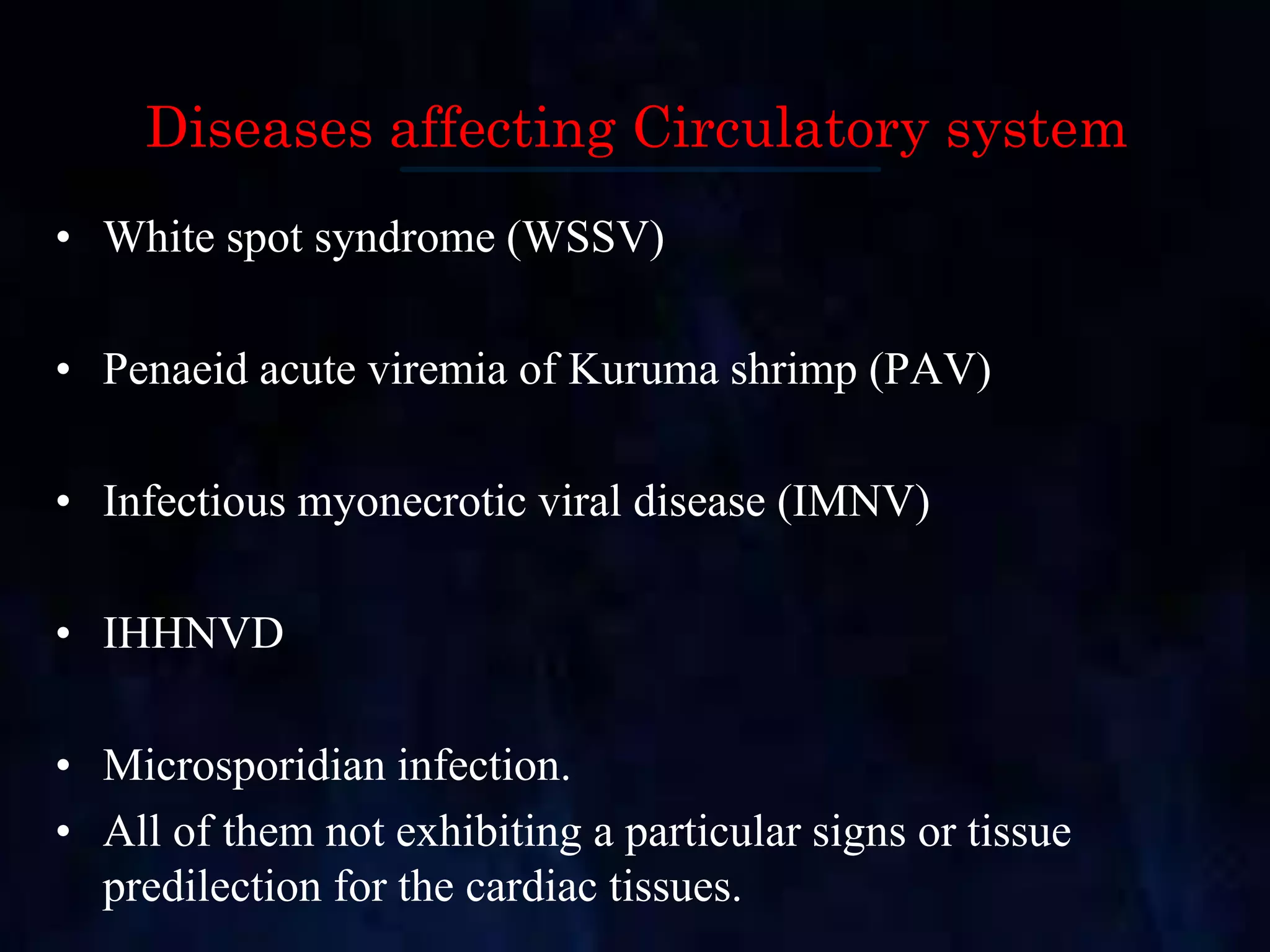 Circulatory system of Penaeid shrimp | PPTX