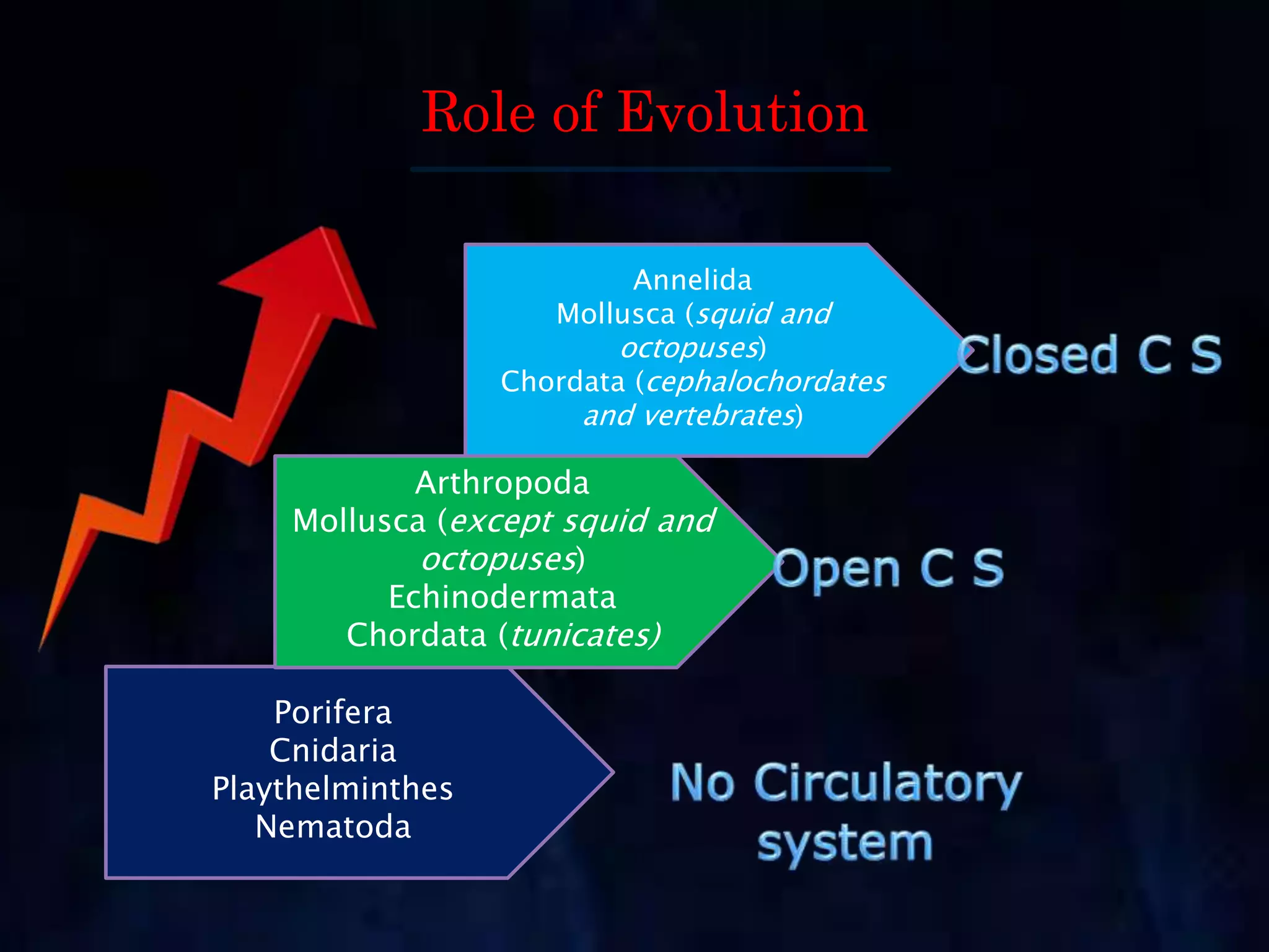 Circulatory system of Penaeid shrimp | PPTX