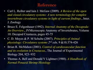 Circulatory system of Penaeid shrimp | PPTX