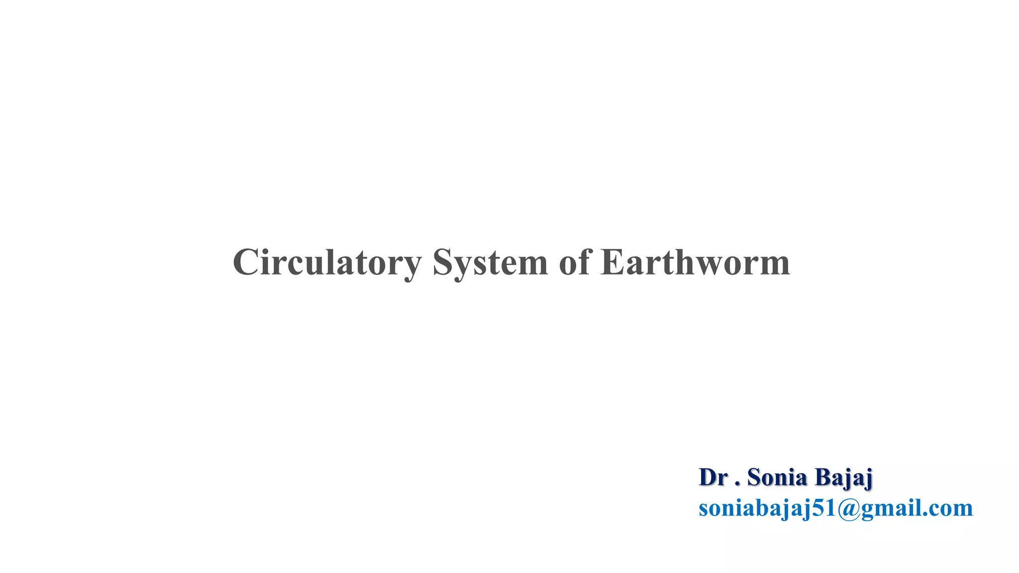 Circulatory system of earthworm | PPTX | Blood Disorders | Diseases and ...