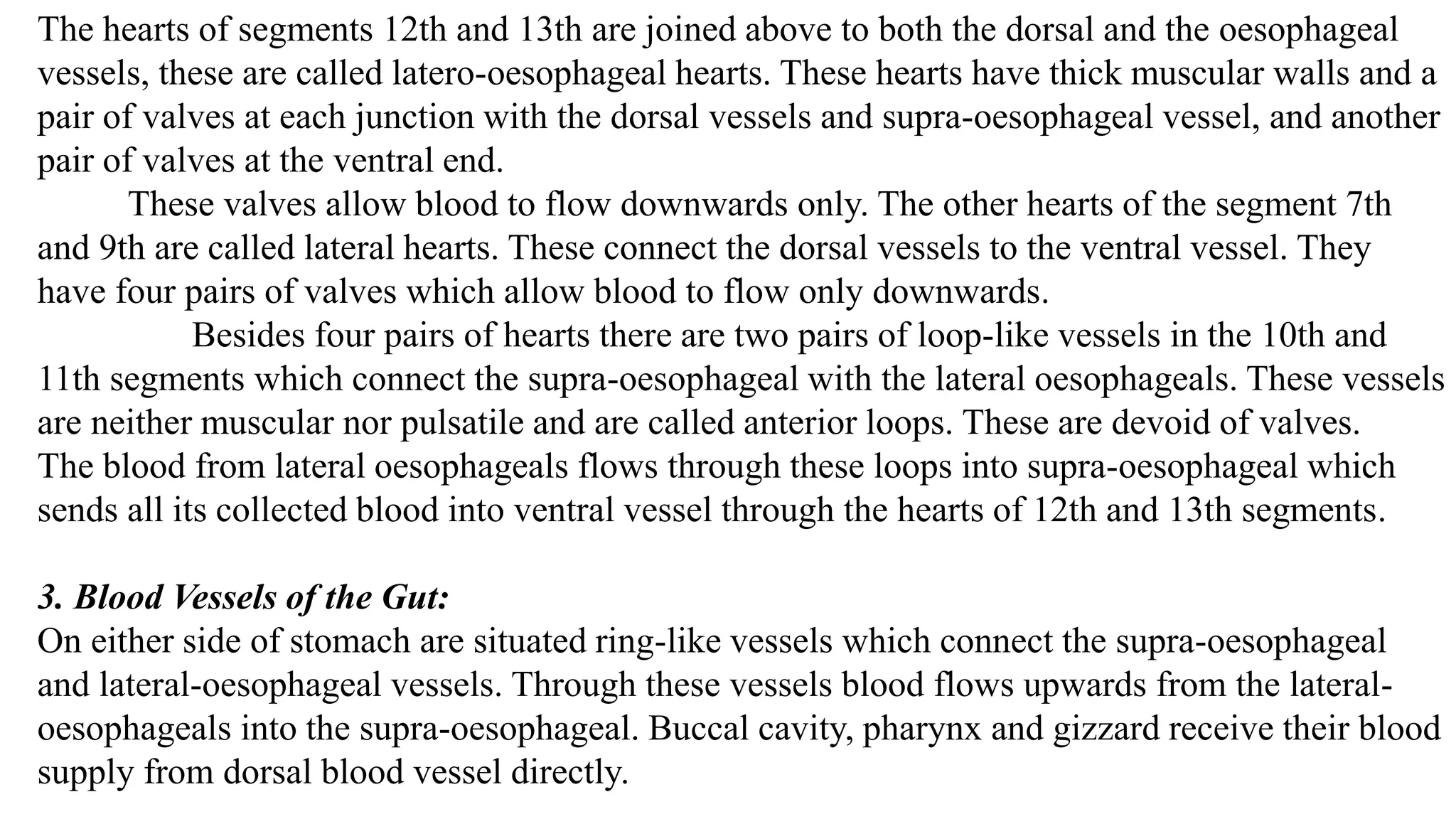 Circulatory system of earthworm | PPTX | Blood Disorders | Diseases and ...