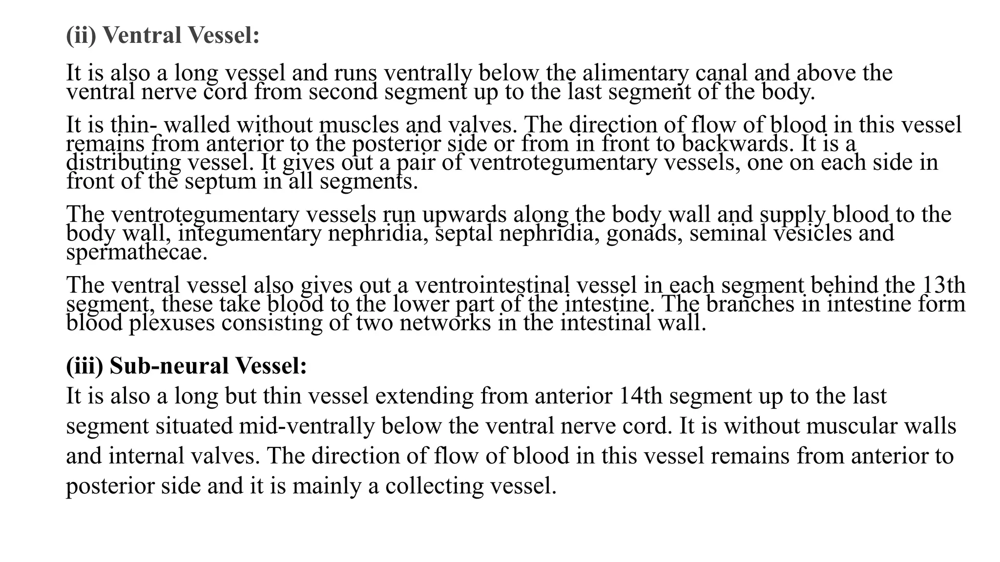Circulatory system of earthworm | PPTX | Blood Disorders | Diseases and ...