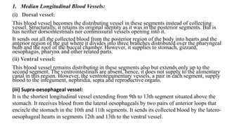 Circulatory system of earthworm | PPTX | Blood Disorders | Diseases and ...