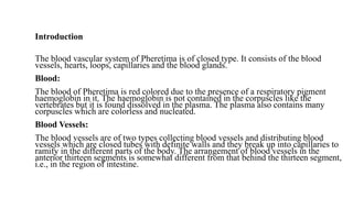 Circulatory system of earthworm | PPTX | Blood Disorders | Diseases and ...