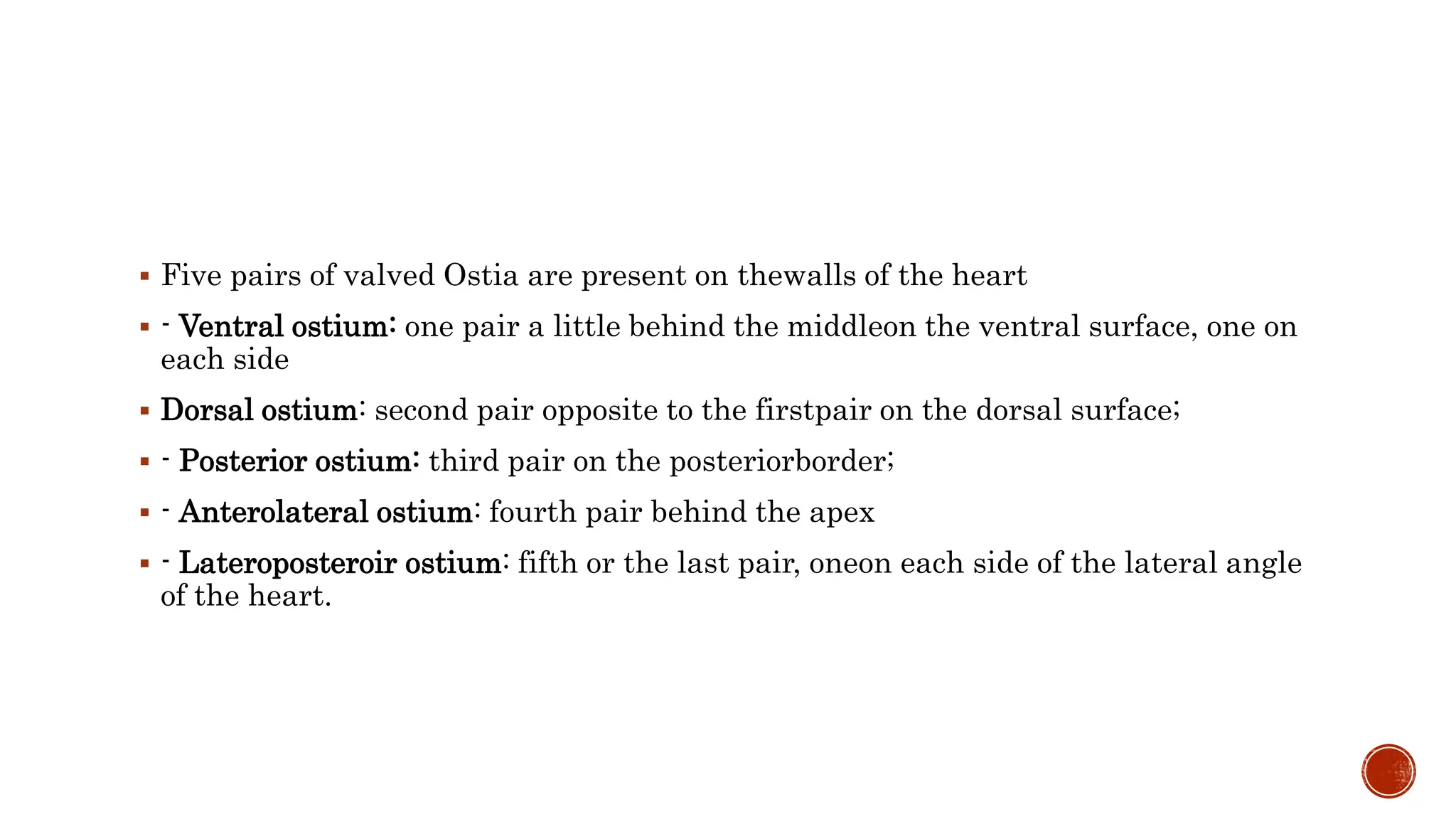 Circulatory system of shrimp and crustaceans.pptx