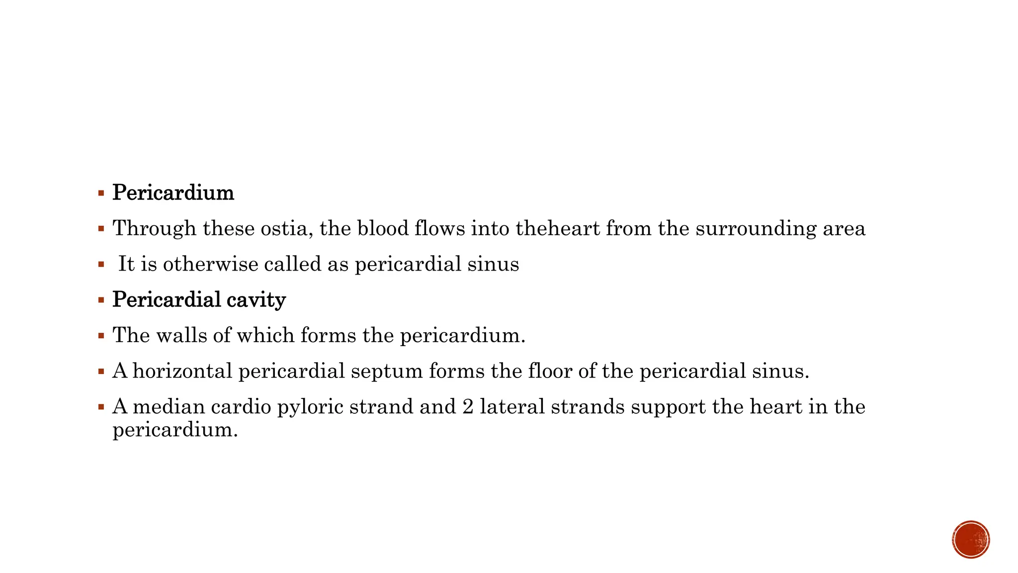 Circulatory system of shrimp and crustaceans.pptx