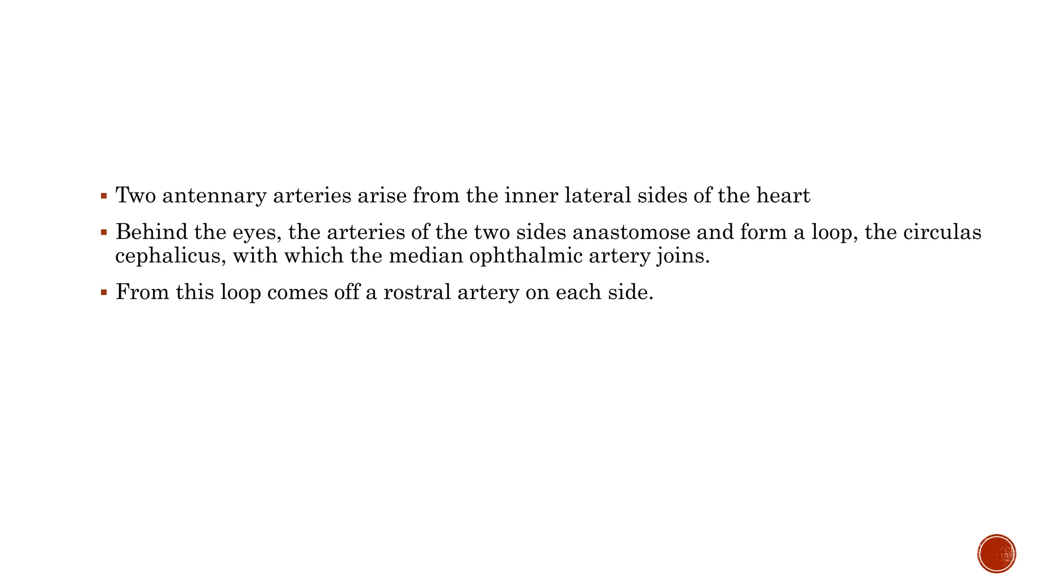 Circulatory system of shrimp and crustaceans.pptx