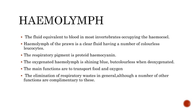 Circulatory system of shrimp and crustaceans.pptx | Heart and ...