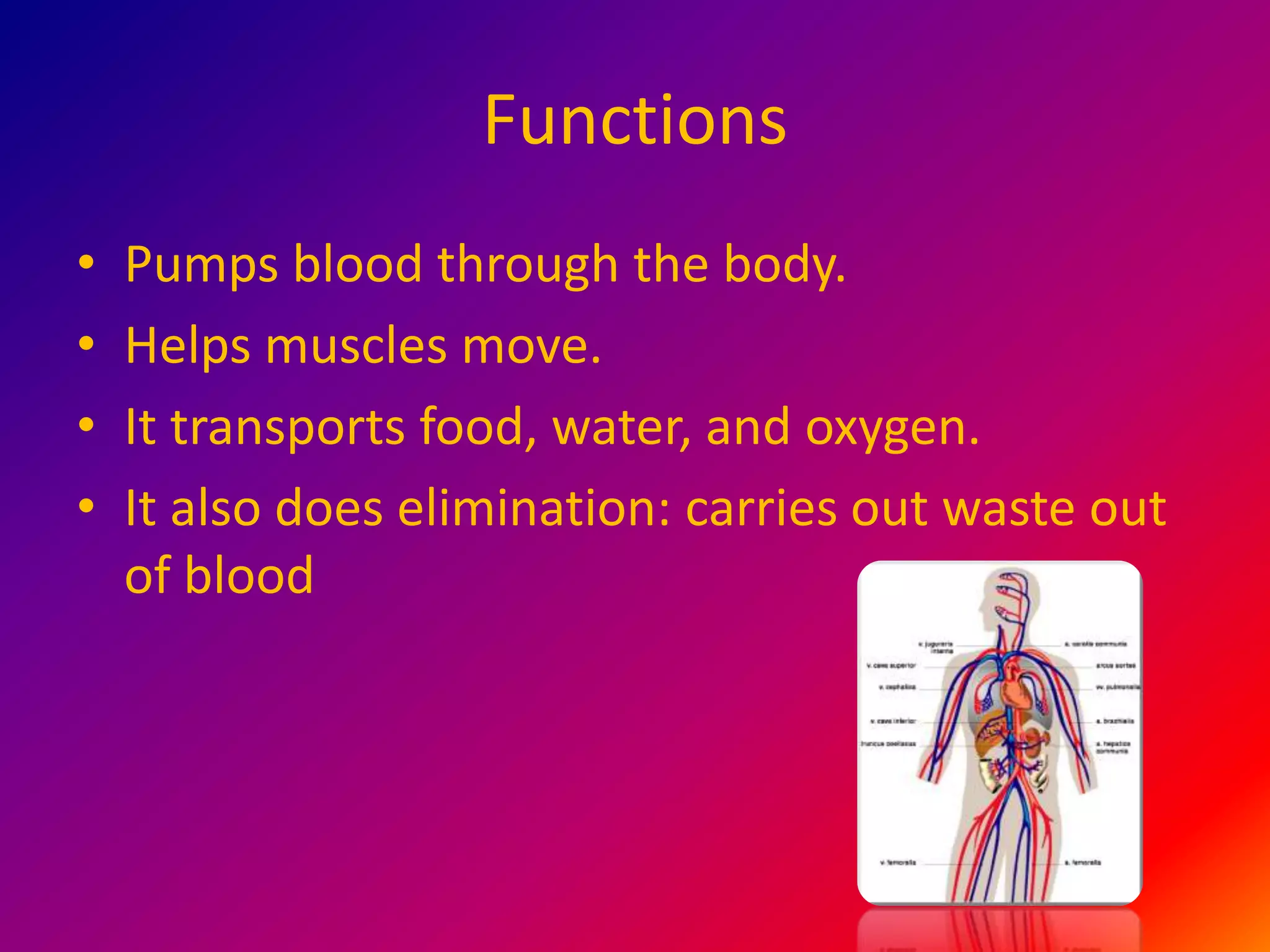Circulatory system | PPTX | Heart and Cardiovascular Diseases ...